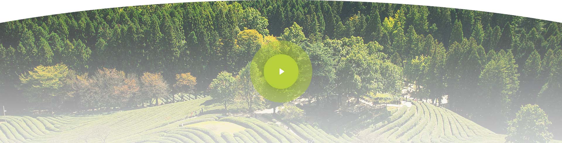 Angocaju – Indústria processadora de Castanha de Cajú