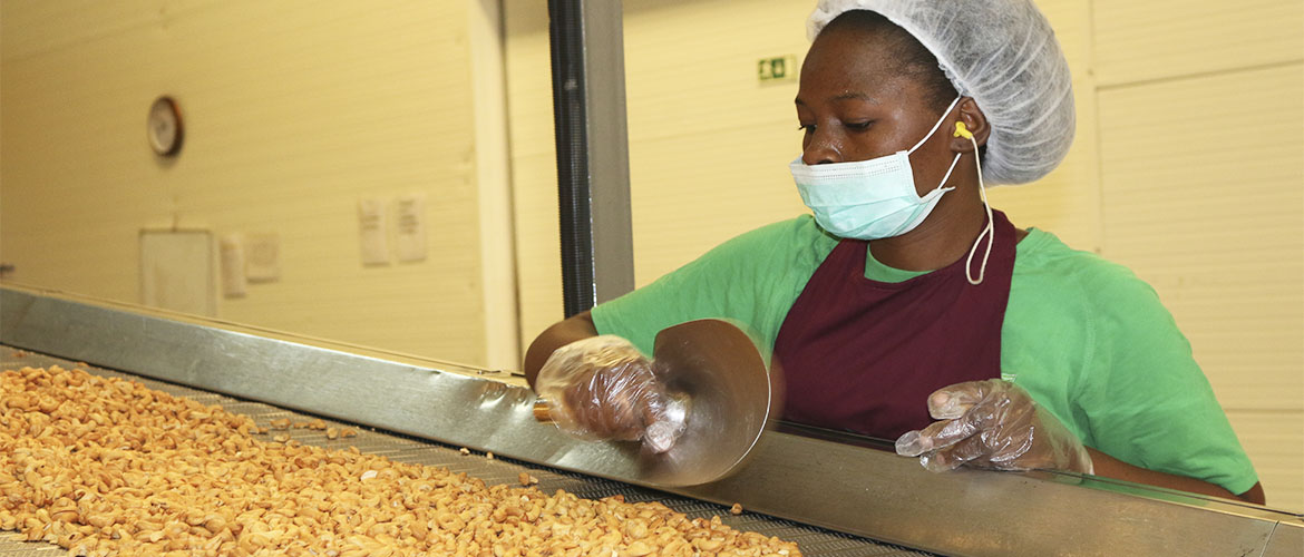 Angocaju – Indústria processadora de Castanha de Cajú